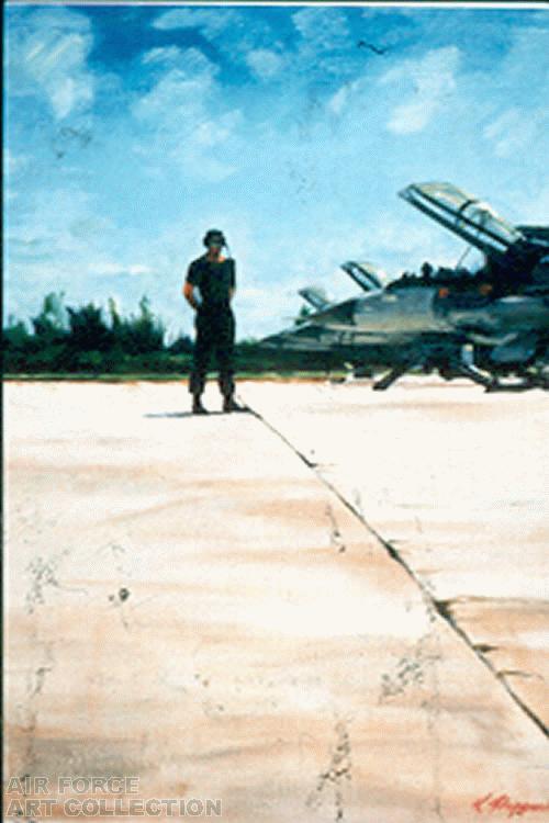 The United States Air Force Art Collection