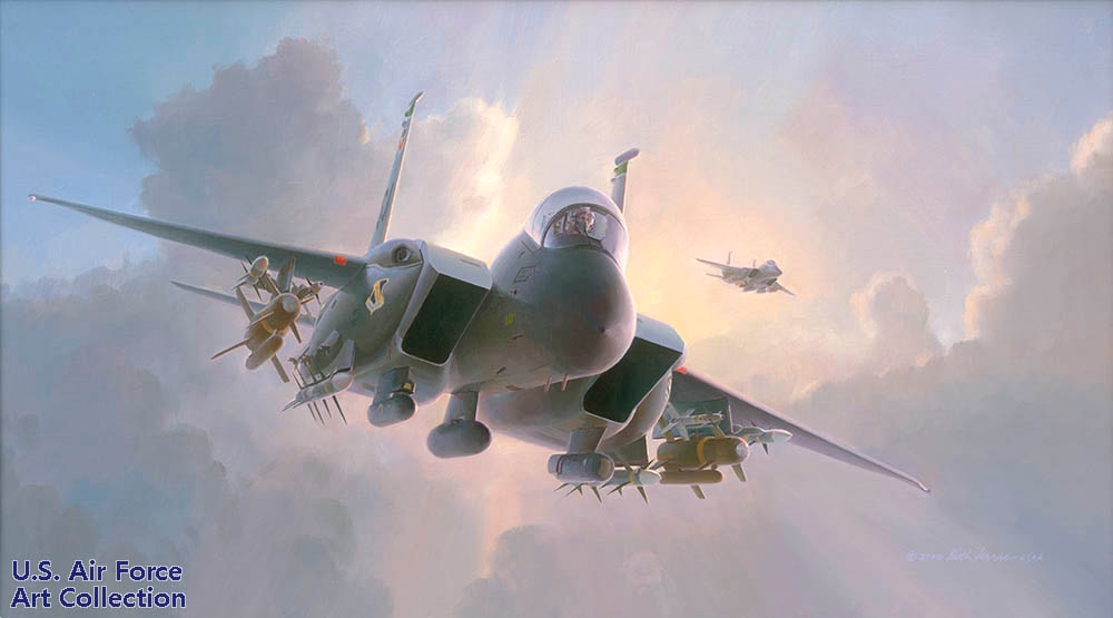 The United States Air Force Art Collection